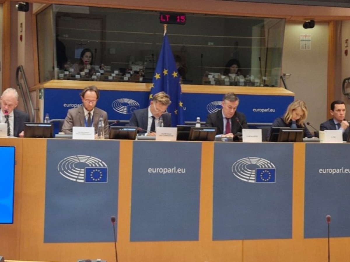 Kopman: Montenegro and Albania have the best results in using funds ...