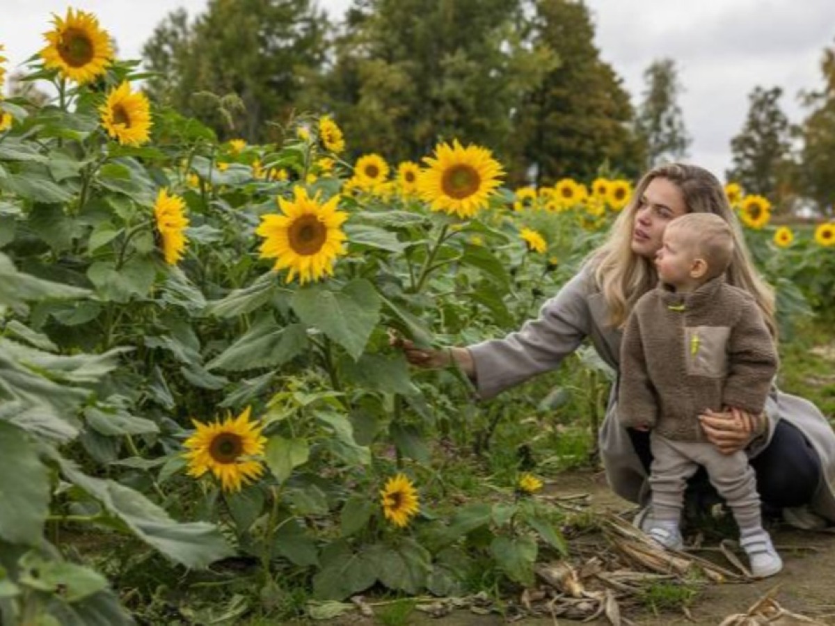 Here's why children behave the worst when they're with their mom? The ...